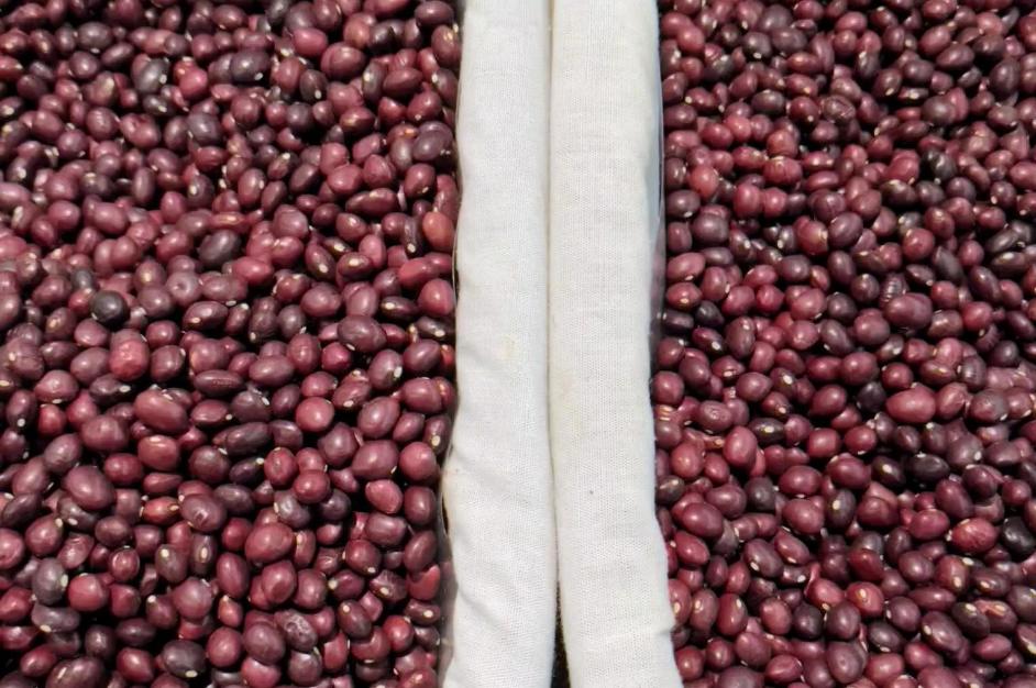 8 traditional markets in the Basque Country