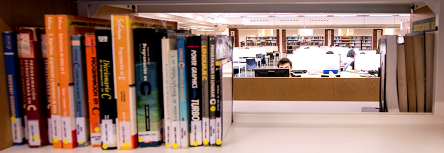 El Gobierno Vasco aprueba una convocatoria de 575.000 euros para la compra de libros en las ...