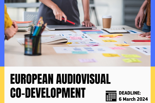 European Co-development 2024 - Gobierno Vasco - Euskadi.eus